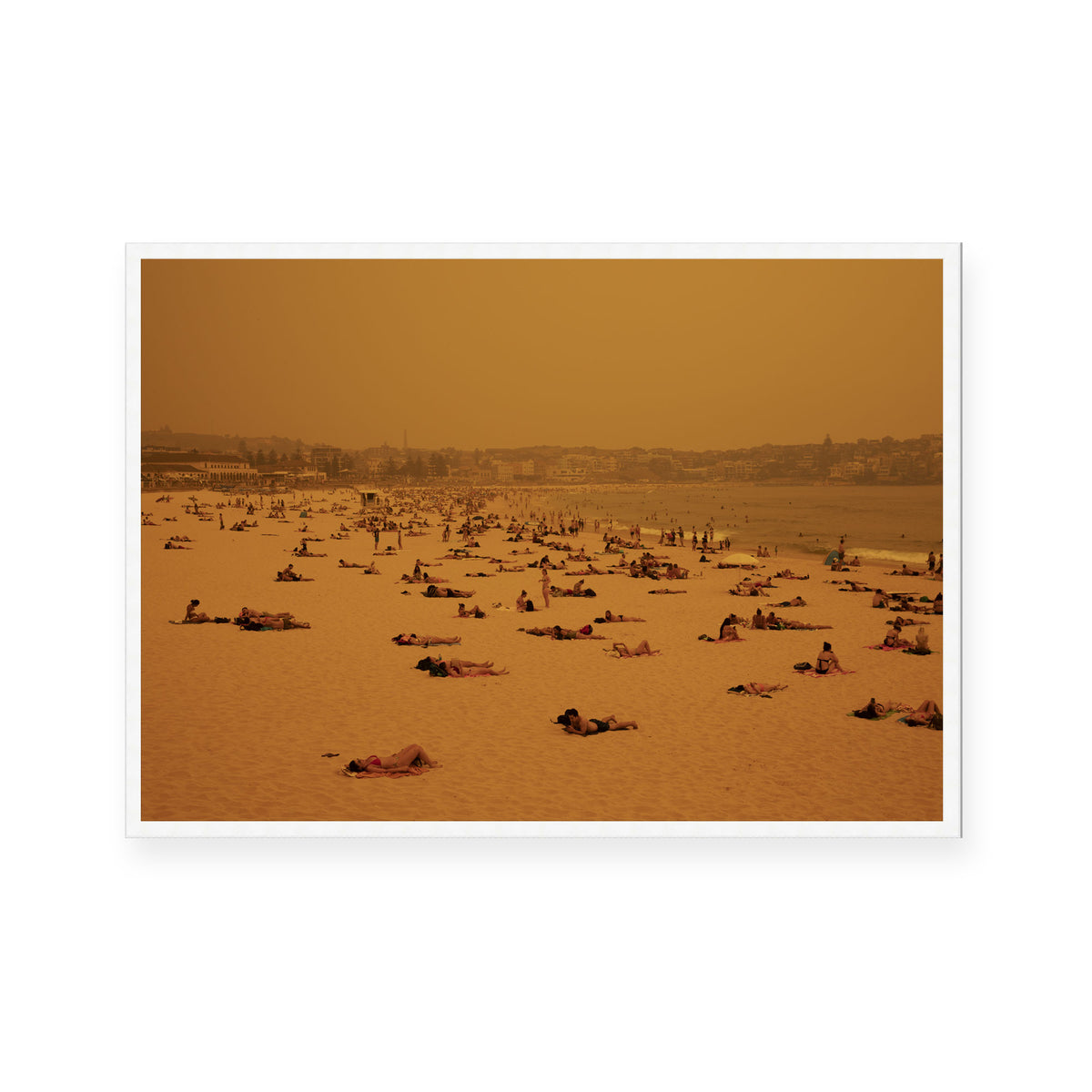 Bondi Black Summer | Limited Edition Print – ArtHouse Co